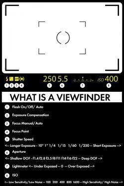 What Is a Viewfinder on a Camera? Everything You Need to Know ...