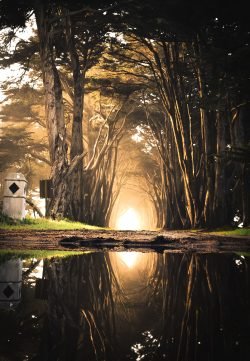 Capturing the Beauty of Landscape Reflections - ShutterRelease