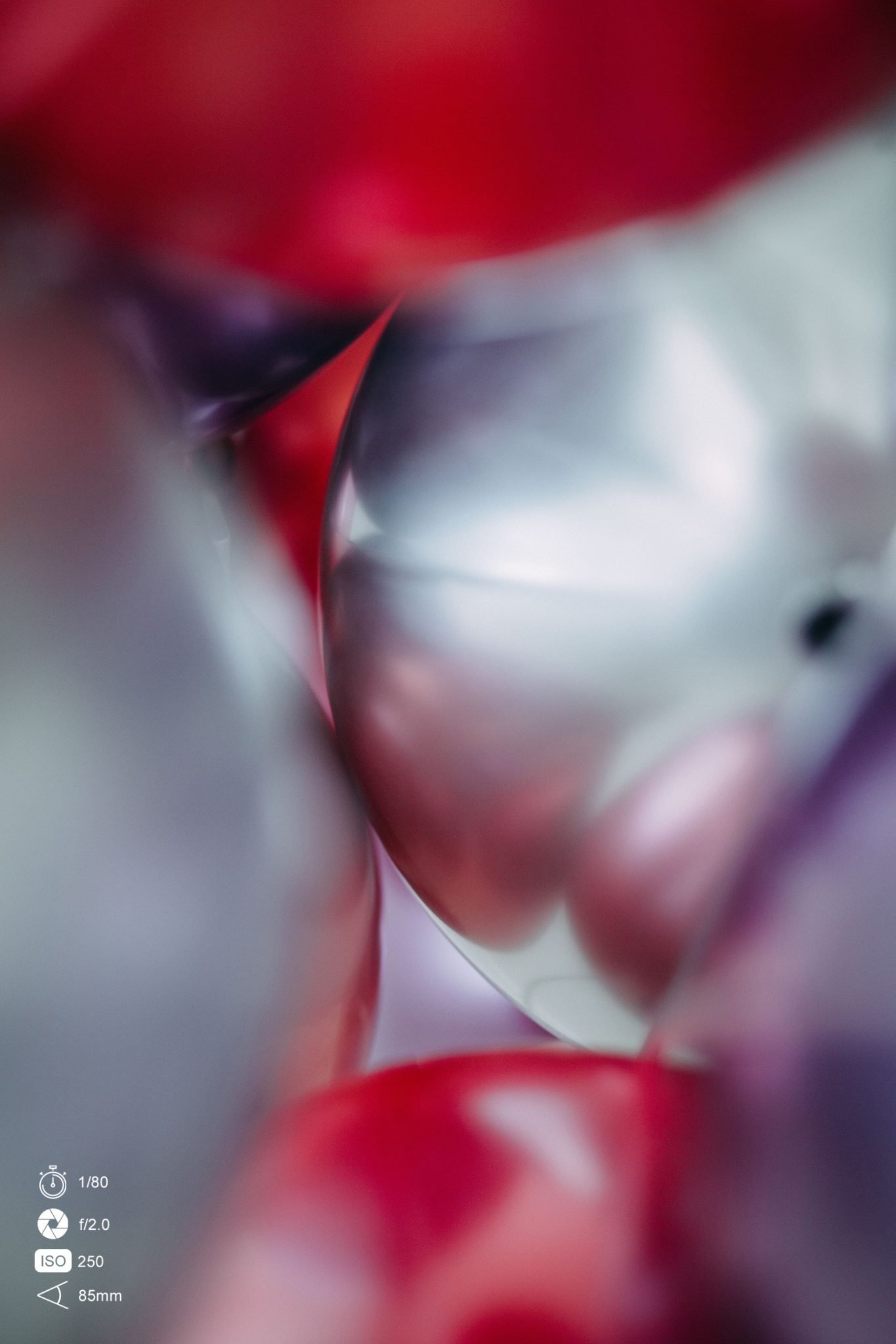 How To Capture Great Abstract Photography - ShutterRelease